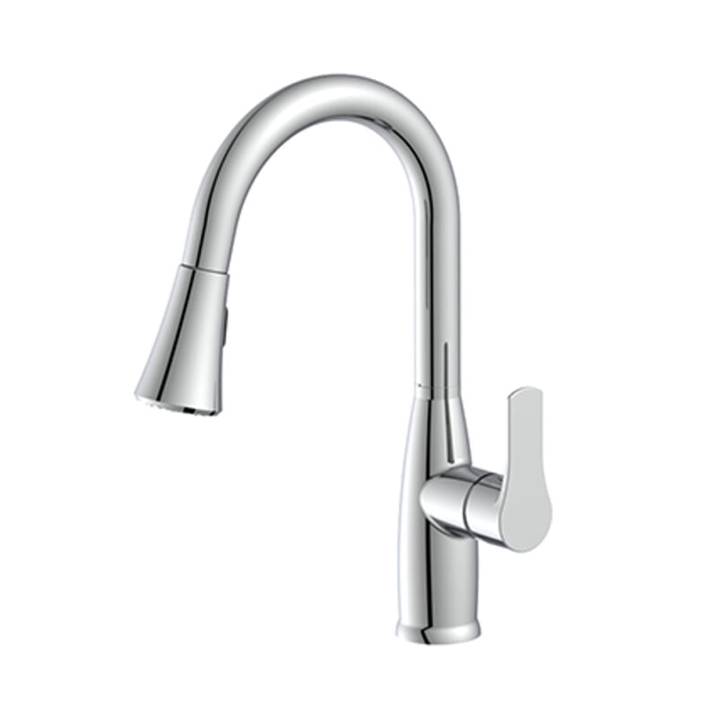 Nitrux Kitchen Faucet Single Handle Pulldown – Mainline Collection