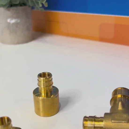 1/2" F2159 PolyAlloy Pex Coupling Lead Free – Mainline Collection